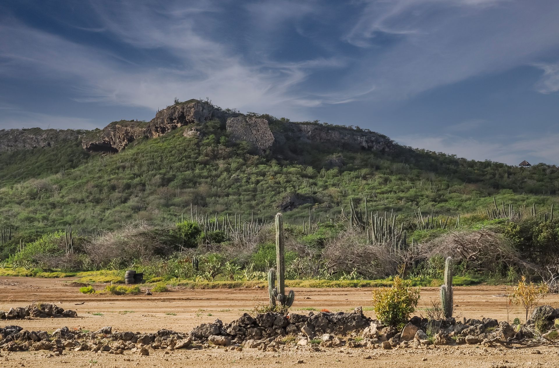Home | Seru Largu National Park