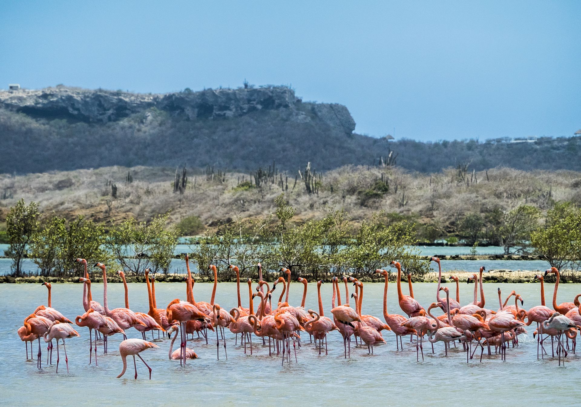 Home | Seru Largu National Park