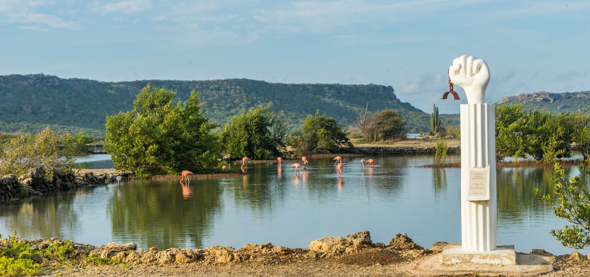 Home | Seru Largu National Park