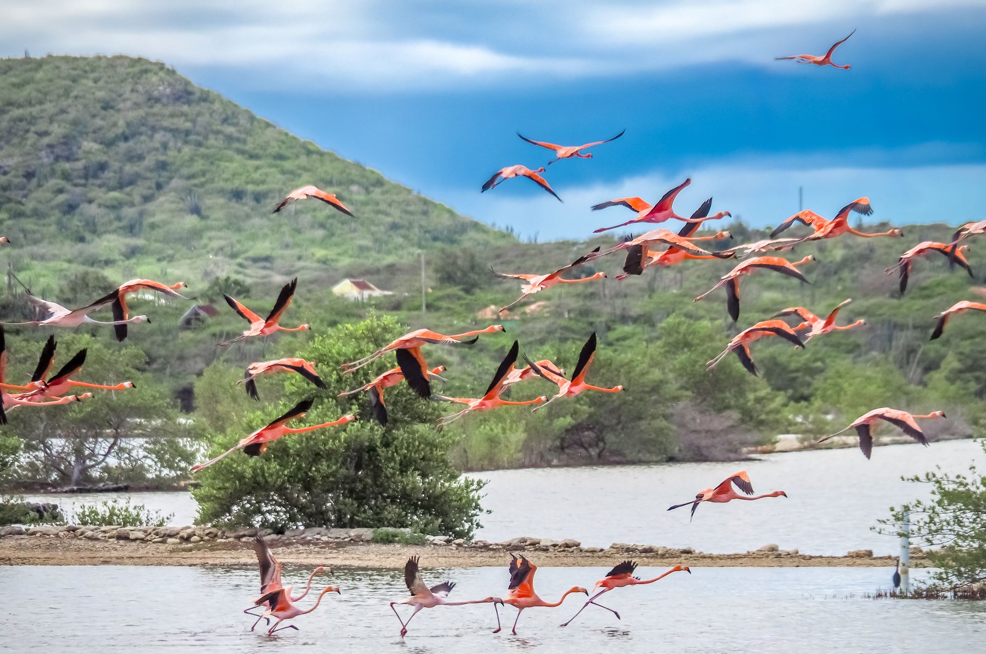 Home | Seru Largu National Park