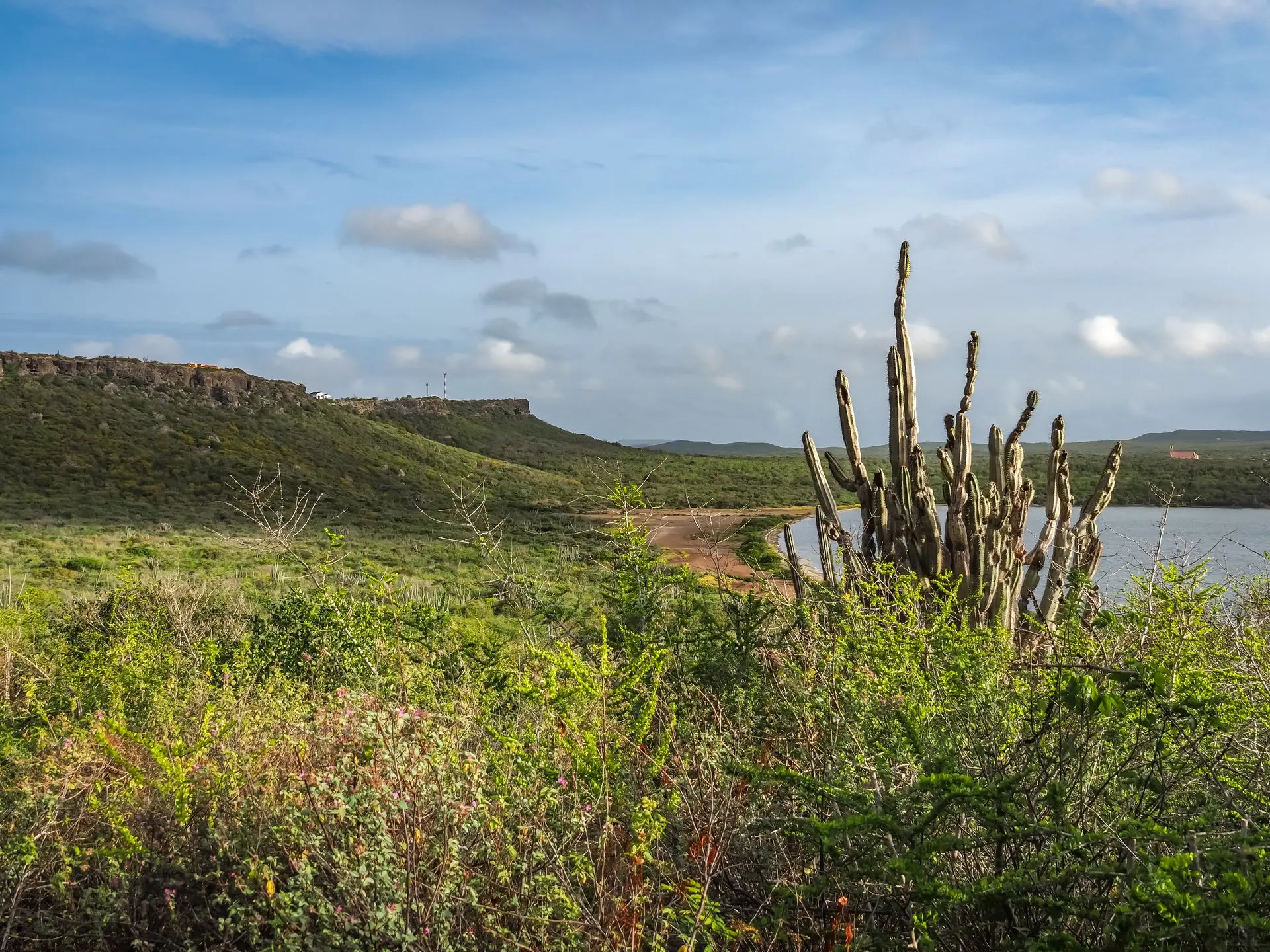 Become a junior guide in Seru Largu Park! | Seru Largu National Park